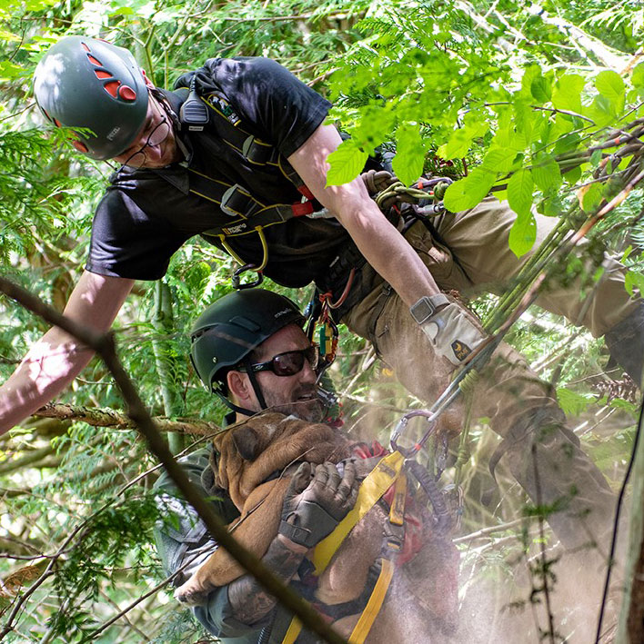 Flint, Dog Over Cliff in Snohomish - WASART